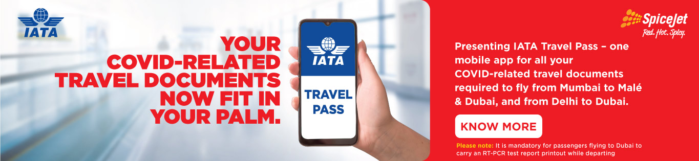 Spicejet Air Ticket Sample